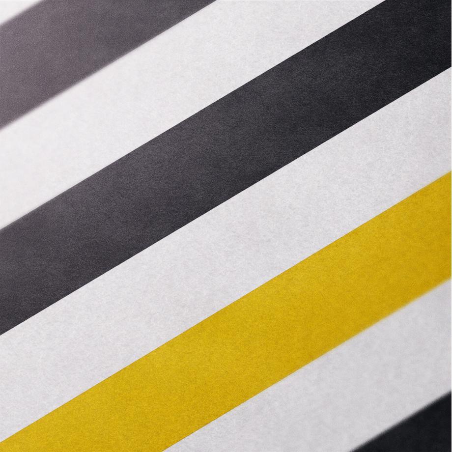 Poster Renault 5 Turbo - Rallye Monte-Carlo 1981 - Exclusive Edition ...